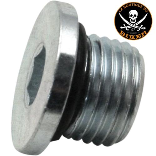 BOUCHON DE VIDANGE AVEC LE JOINT...PE09200141 OEM #60348-65B S&S CYCLE ... BOUCHON DE VIDANGE AVEC LE JOINT...PE09200141 OEM #60348-65B S&S CYCLE ...